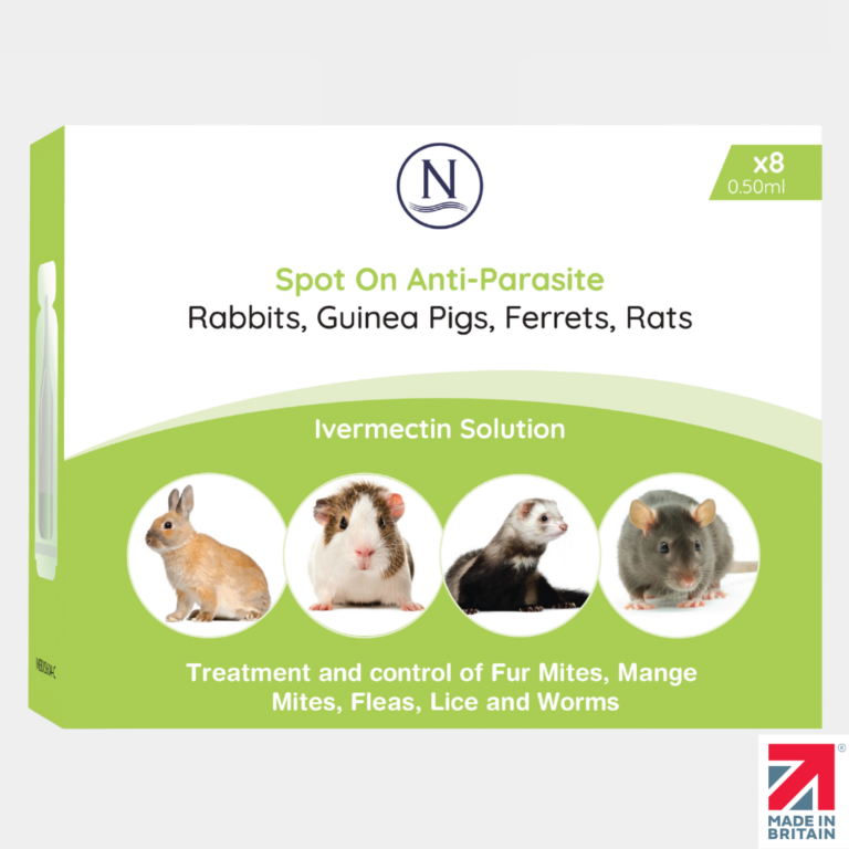 Using Ivermectin to treat mites in rats - Naqua Ltd